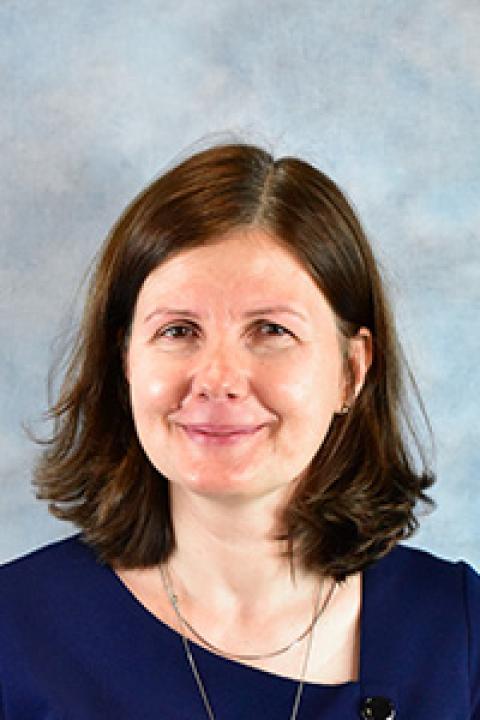 Daniela Popescu | Kent State University